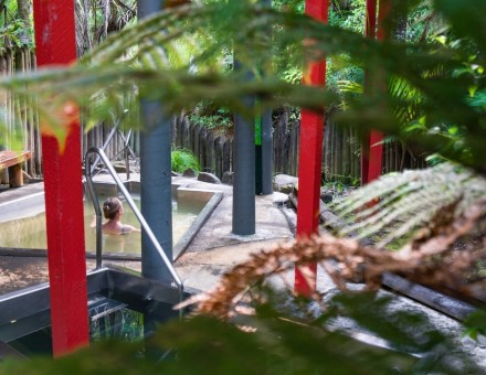 Nga Hua o Mōrere hot springs