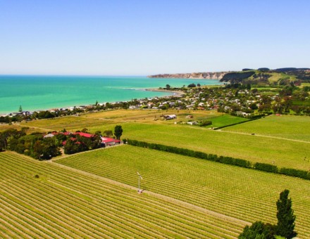 Clearview Estate Winery, Cellar Door & Restaurant