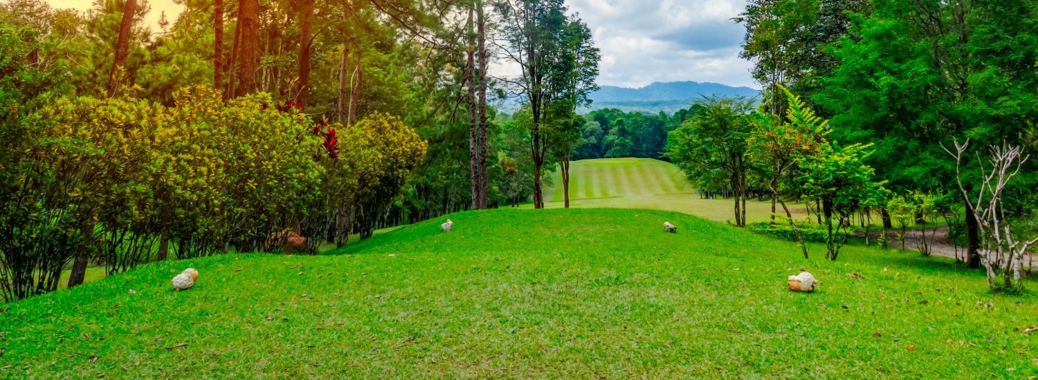 Puketitiri Golf Course