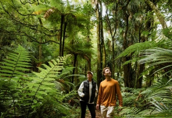 5 Must-Do's in Wairoa District | Hawke's Bay