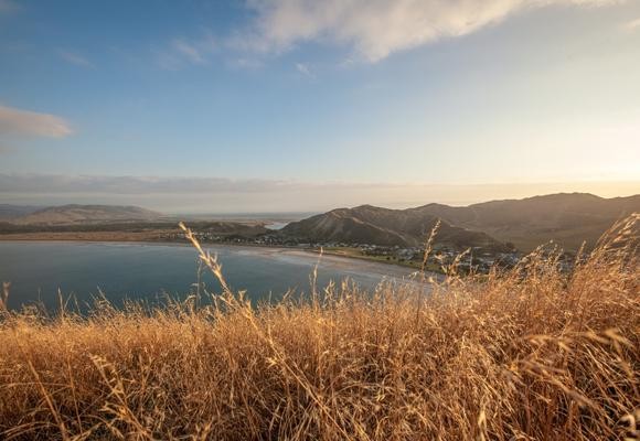 Wairoa Things To Do | Activities | Hawke's Bay NZ