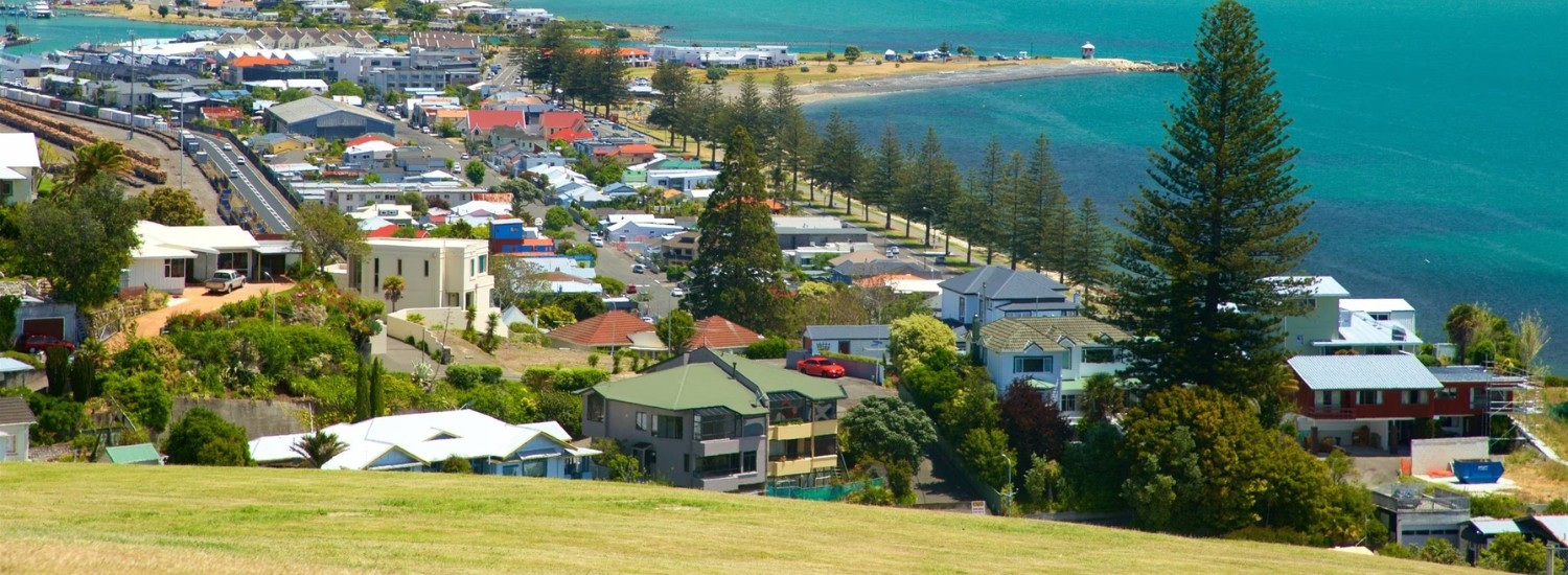 Mataruahou | Bluff Hill Lookout