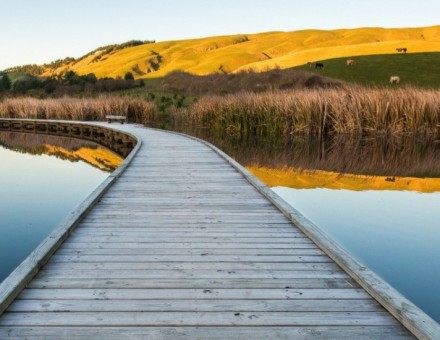 Middle Road to Poukawa Valley (Tukituki River) Heritage Trail