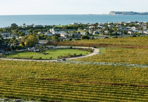 Napier Things To Do | Activities | Hawke's Bay New Zealand