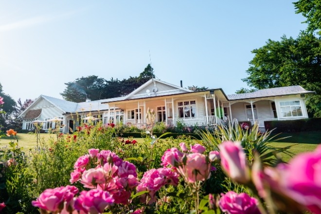Te Mata Estate Winery