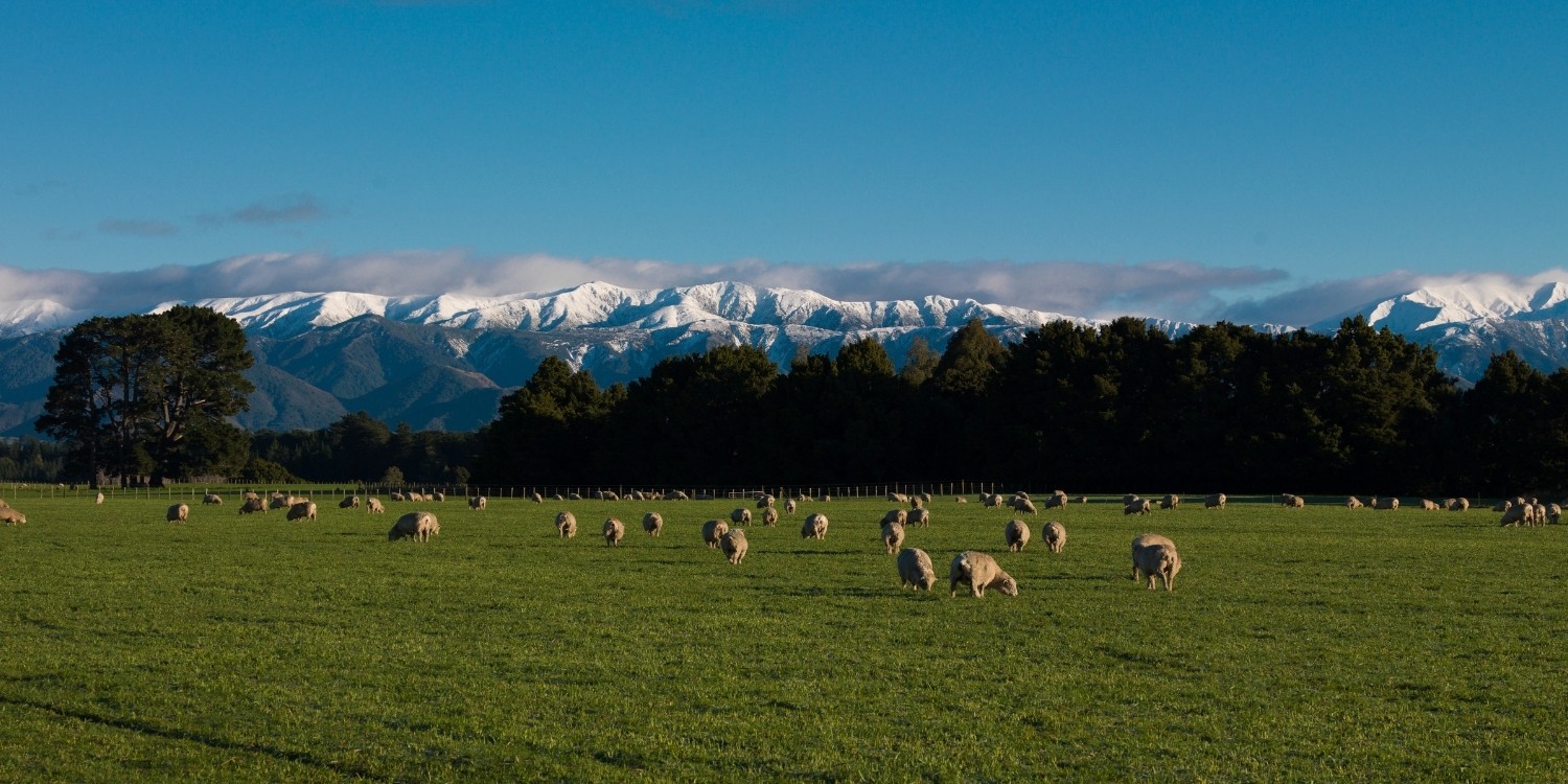 State Highway 50 Itinerary | Central Hawke's Bay NZ